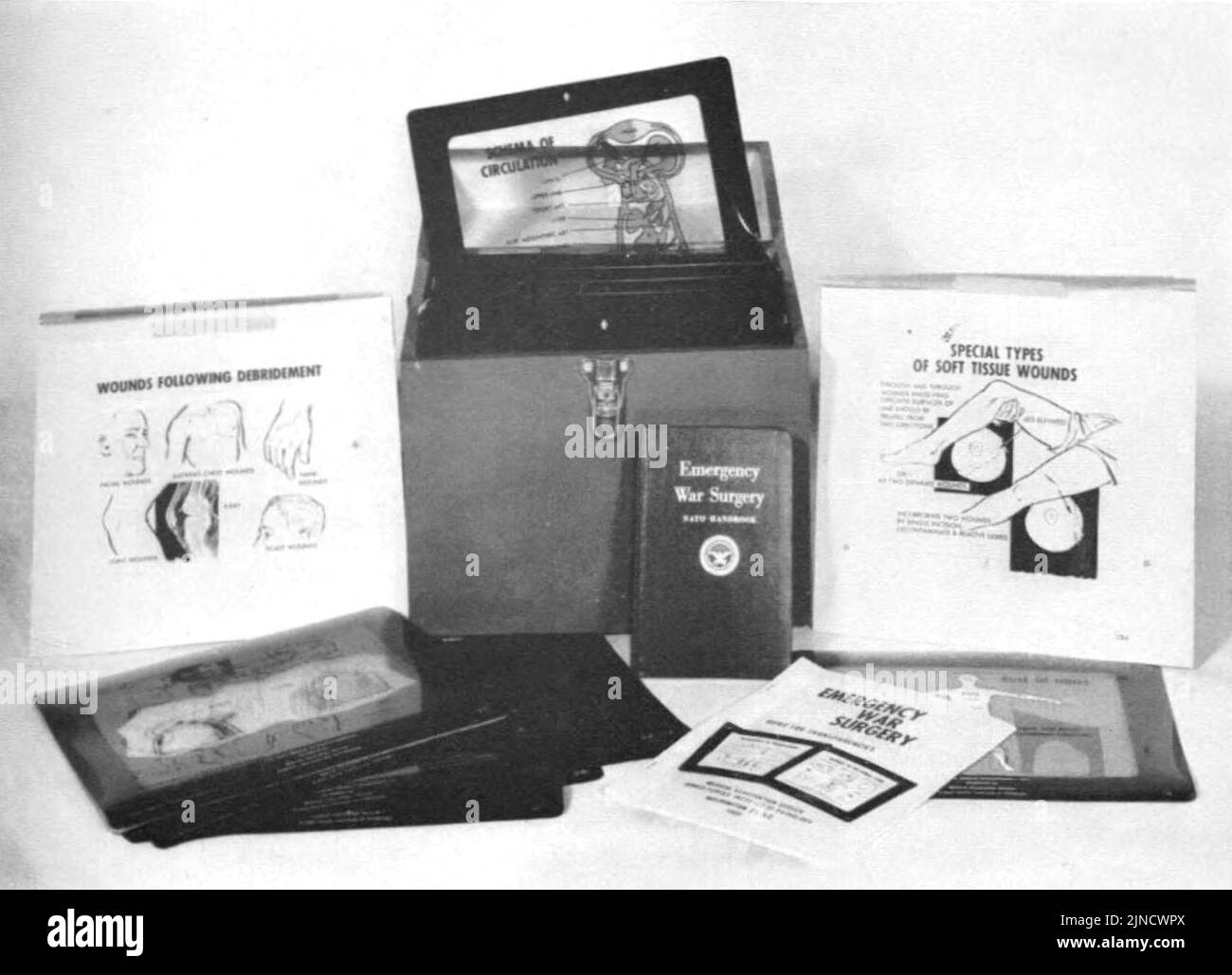 The Armed Forces Institute of Pathology - Figure 121 Stock Photo - Alamy