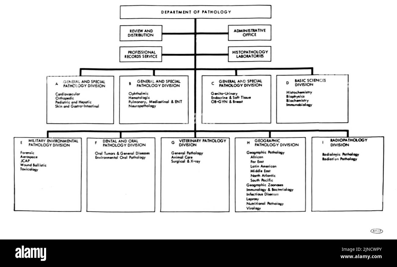 The Armed Forces Institute of Pathology - Figure 130 Stock Photo - Alamy