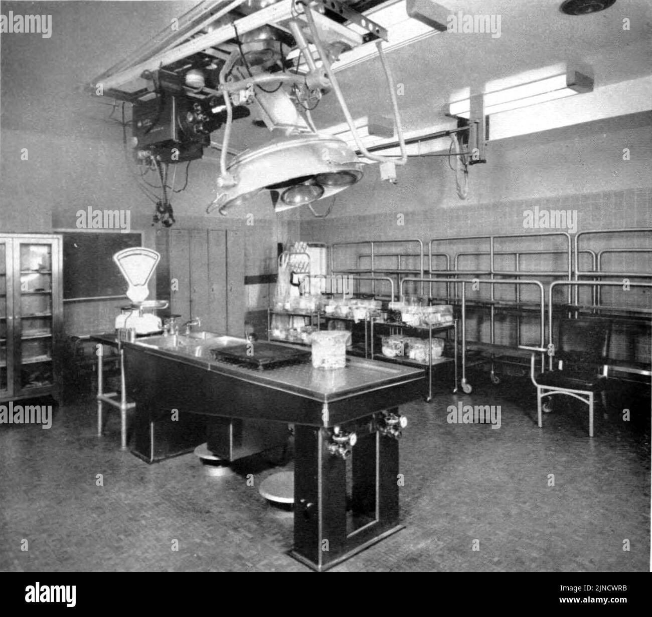 The Armed Forces Institute of Pathology - Figure 124 Stock Photo - Alamy