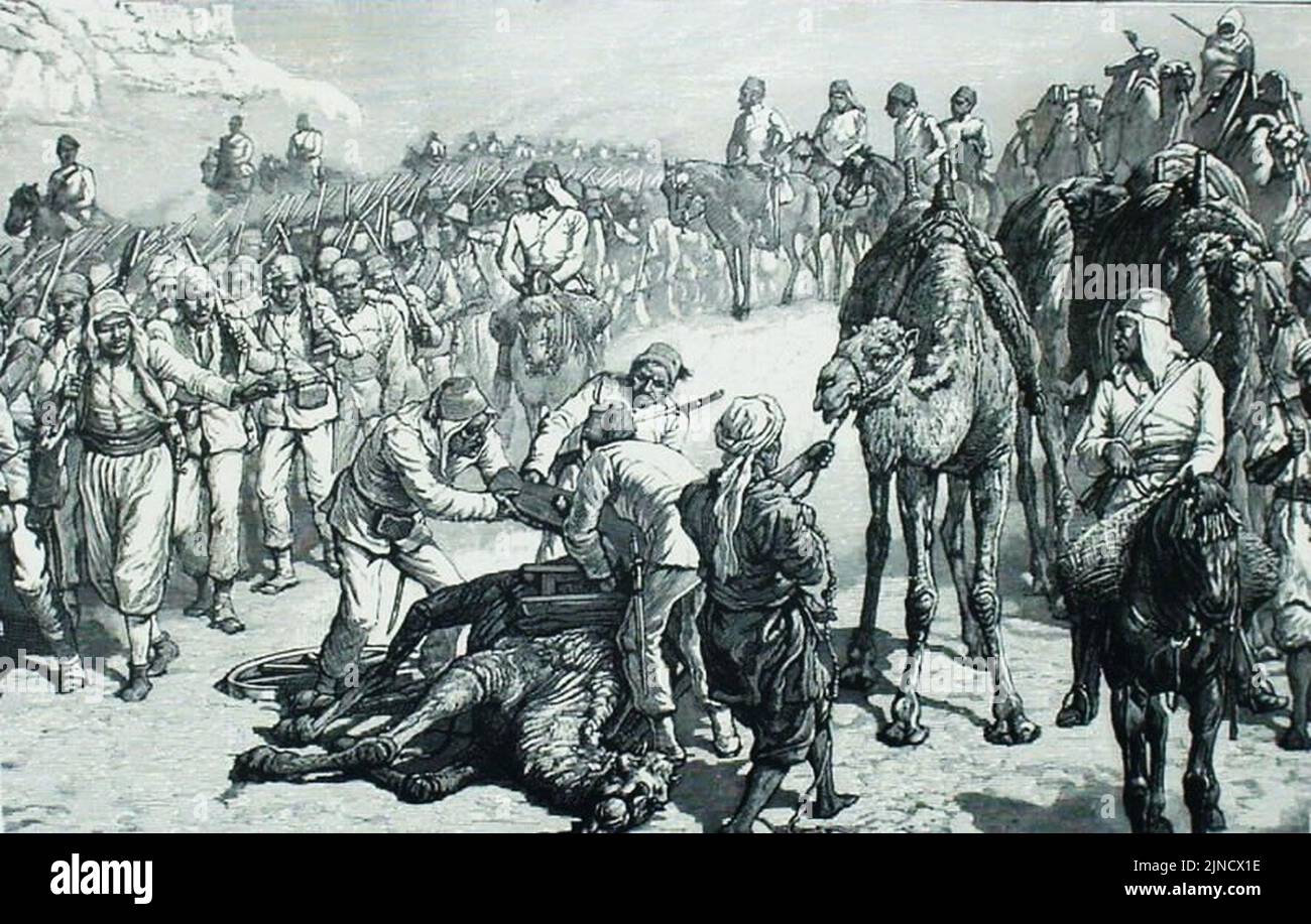 Hicks pasha hi-res stock photography and images - Alamy