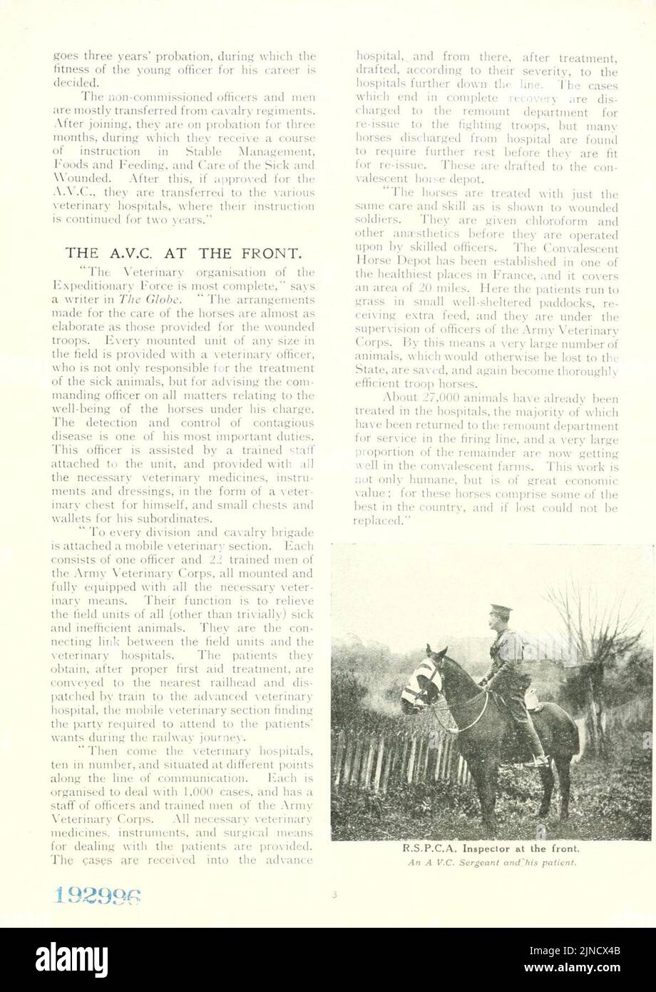 The Army Veterinary Corps (Page 3 Stock Photo - Alamy