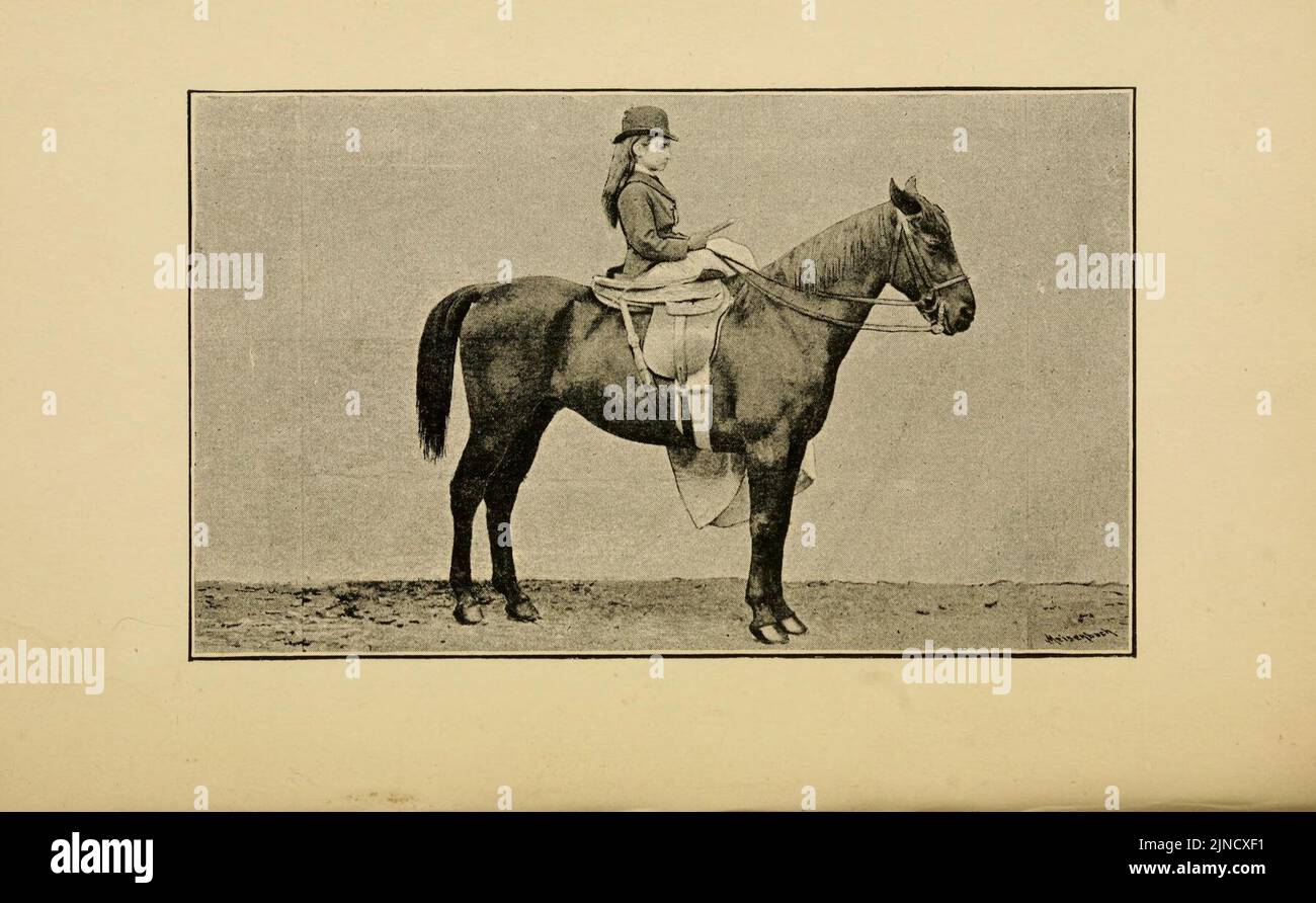 The art of riding Stock Photo - Alamy