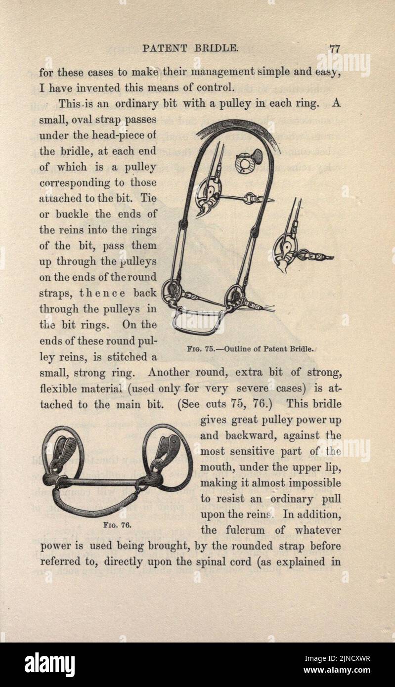 The art of taming and educating the horse (Page 77 Stock Photo - Alamy