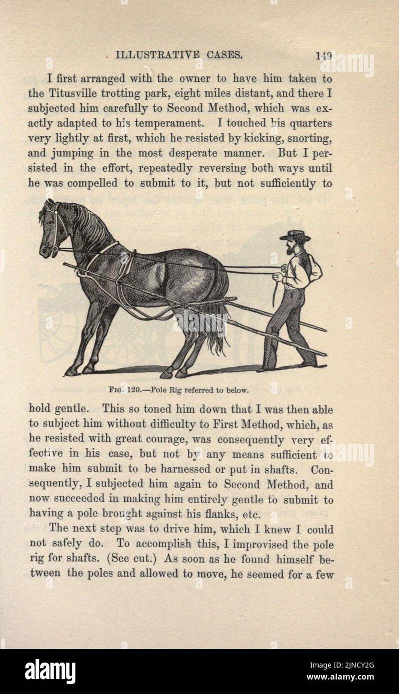The art of taming and educating the horse (Page 149 Stock Photo - Alamy