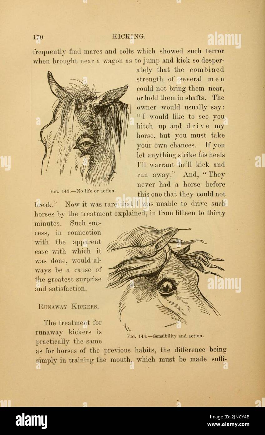 The art of taming and educating the horse (Page 170 Stock Photo - Alamy