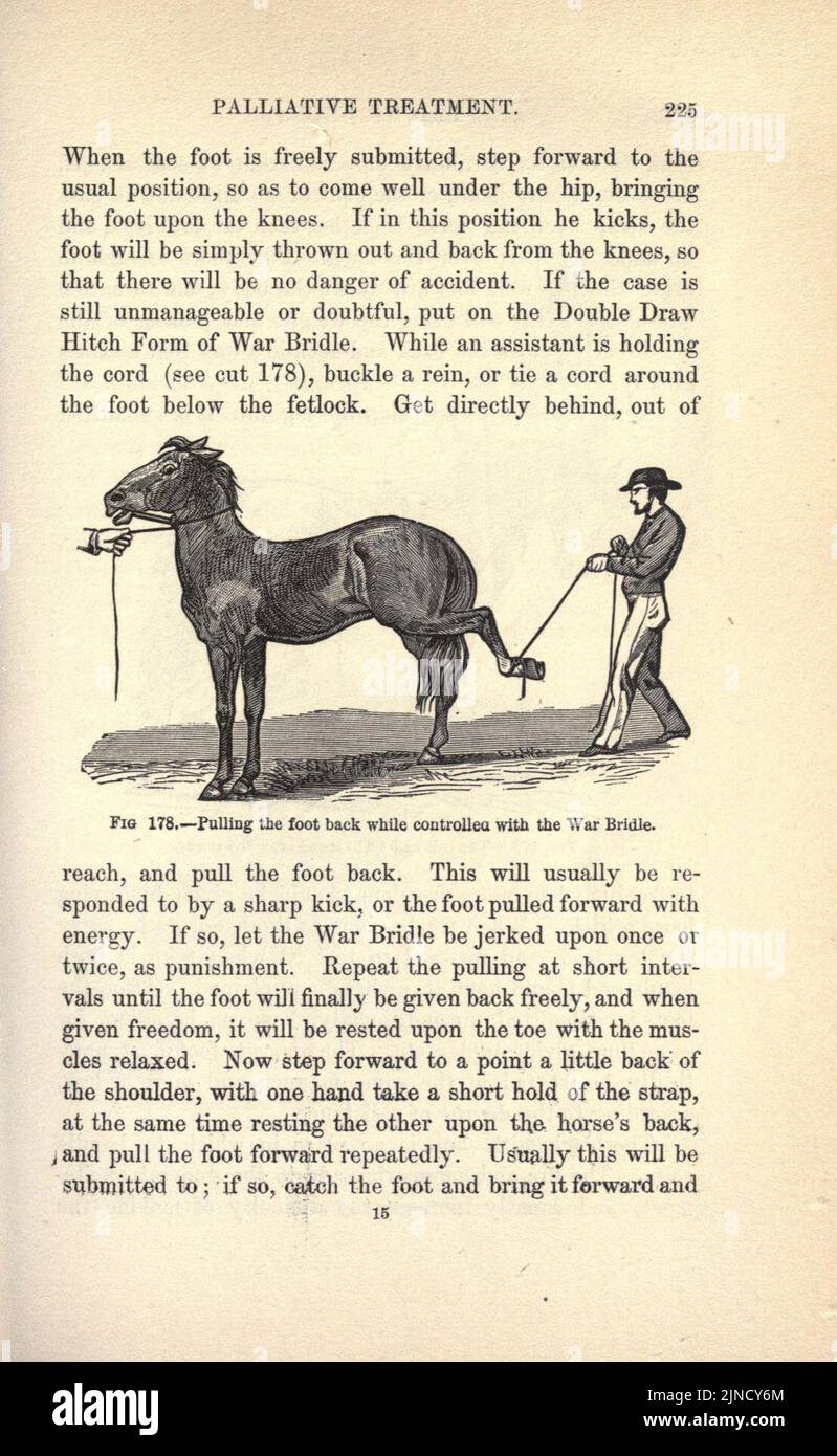 The art of taming and educating the horse (Page 225 Stock Photo - Alamy