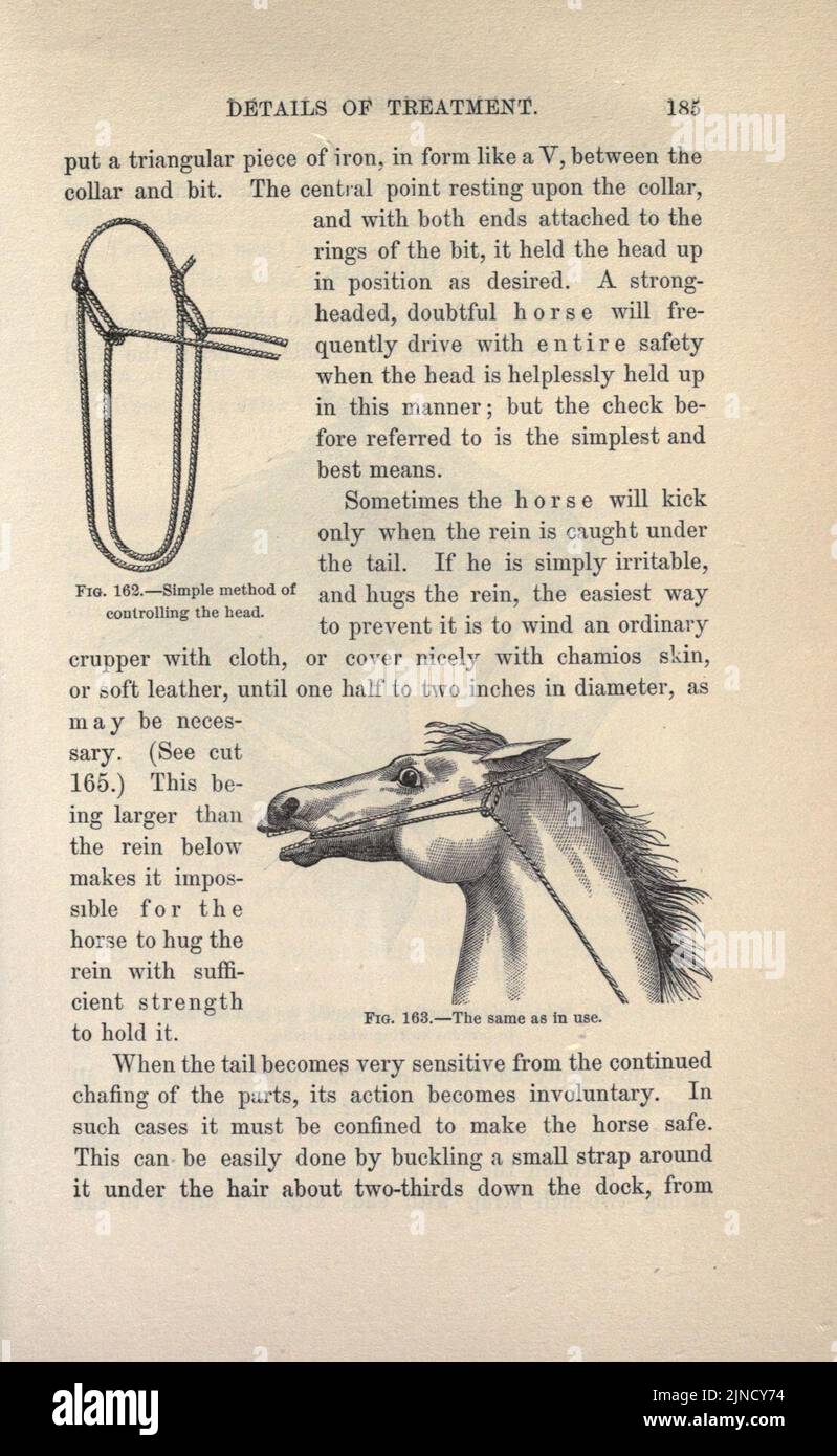 The art of taming and educating the horse (Page 185 Stock Photo - Alamy