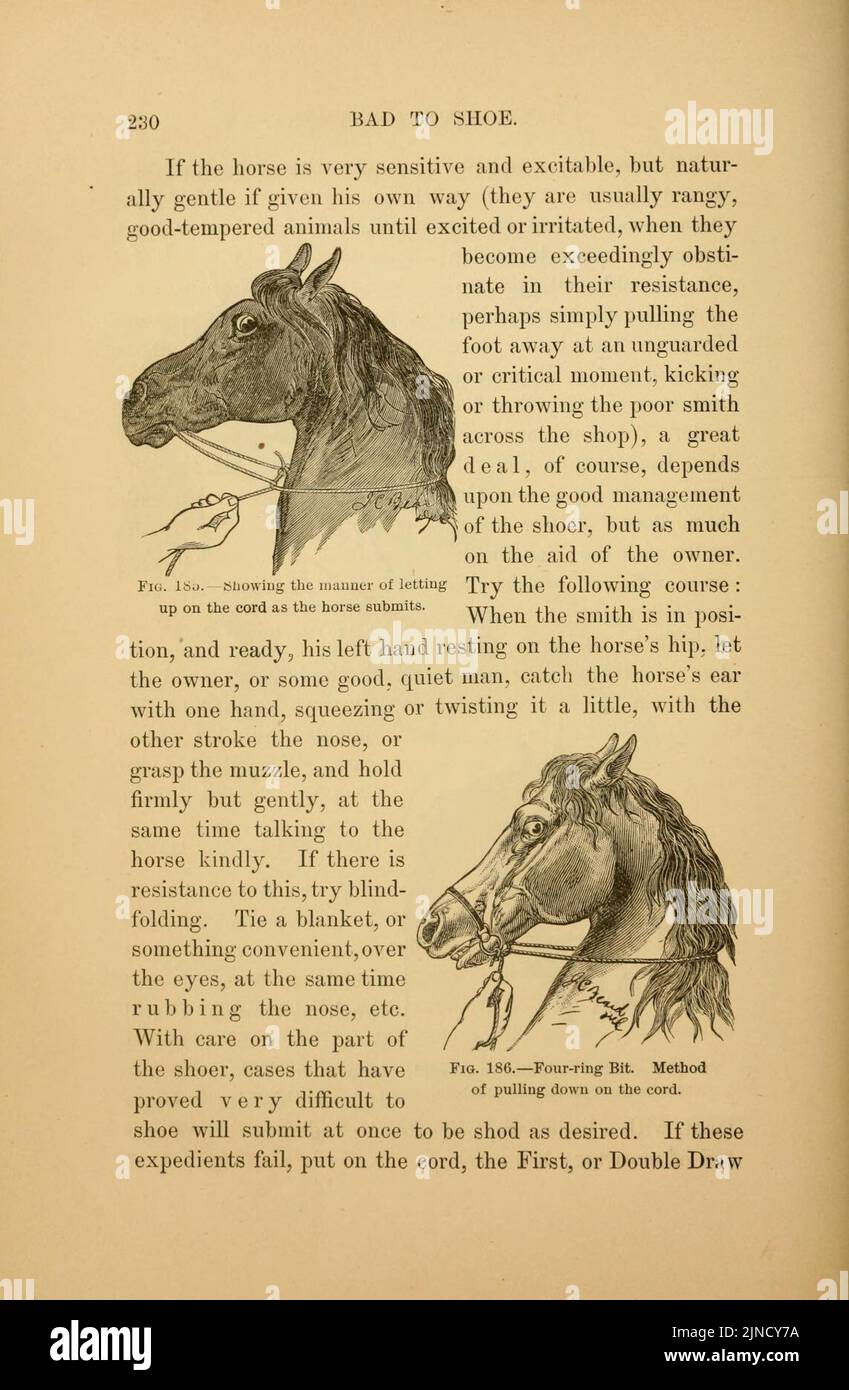 The art of taming and educating the horse (Page 230 Stock Photo - Alamy