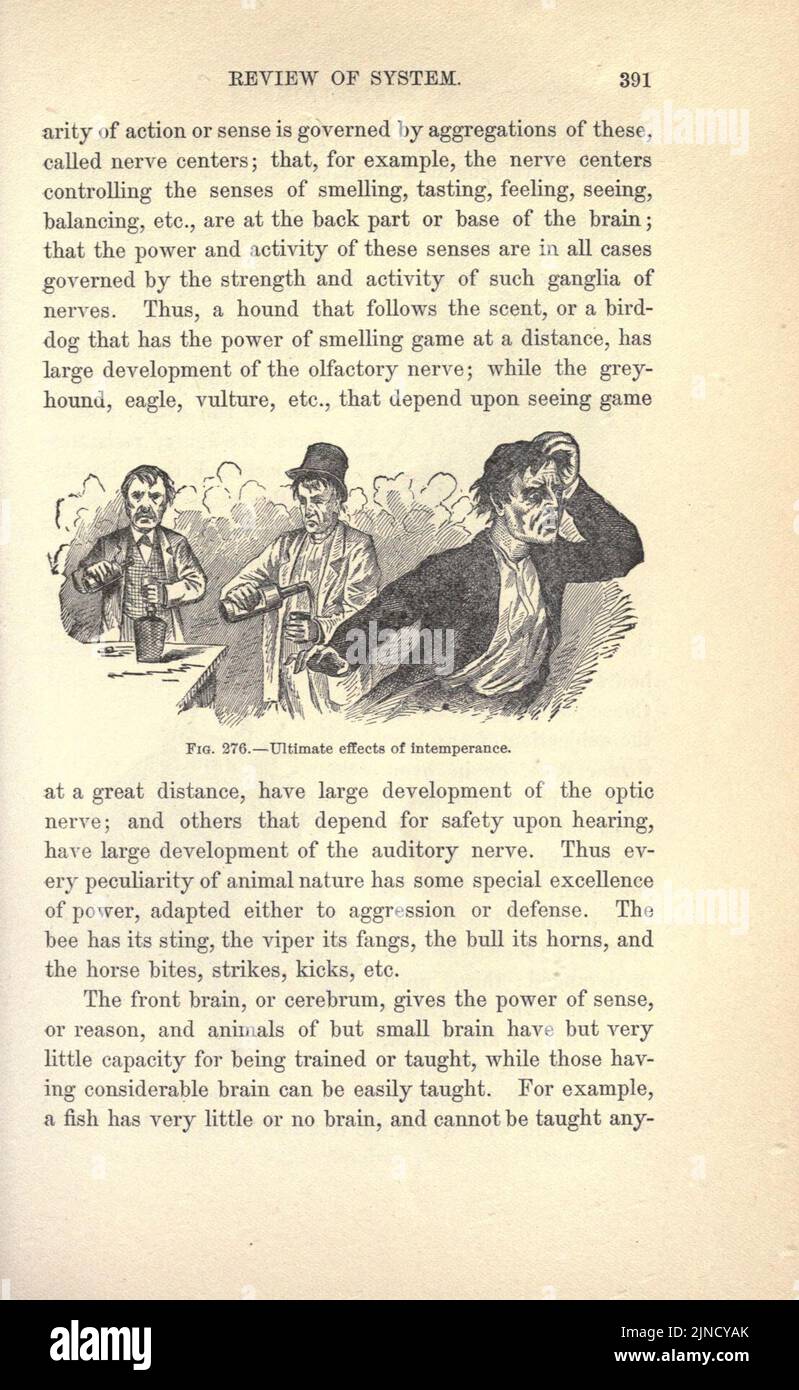 The art of taming and educating the horse (Page 391 Stock Photo - Alamy