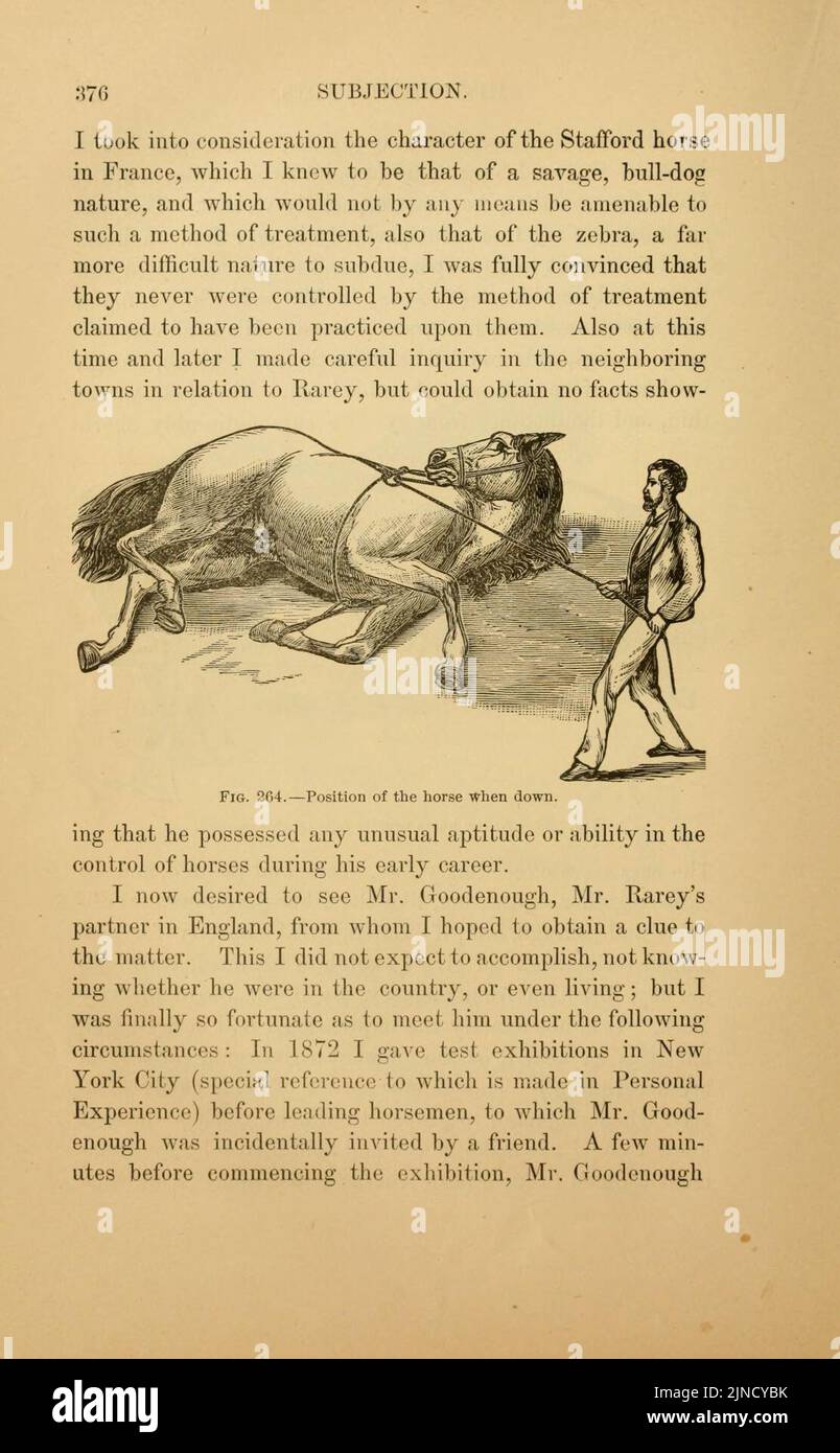 The art of taming and educating the horse (Page 376 Stock Photo - Alamy