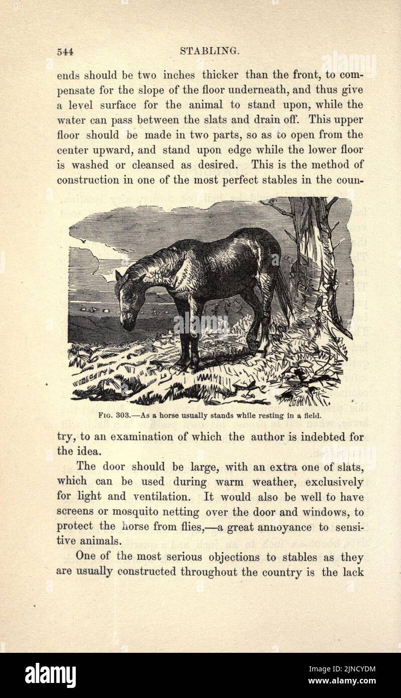 The art of taming and educating the horse (Page 544 Stock Photo - Alamy