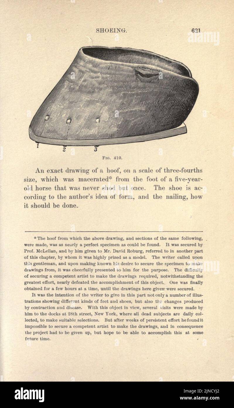 The art of taming and educating the horse (Page 621 Stock Photo - Alamy