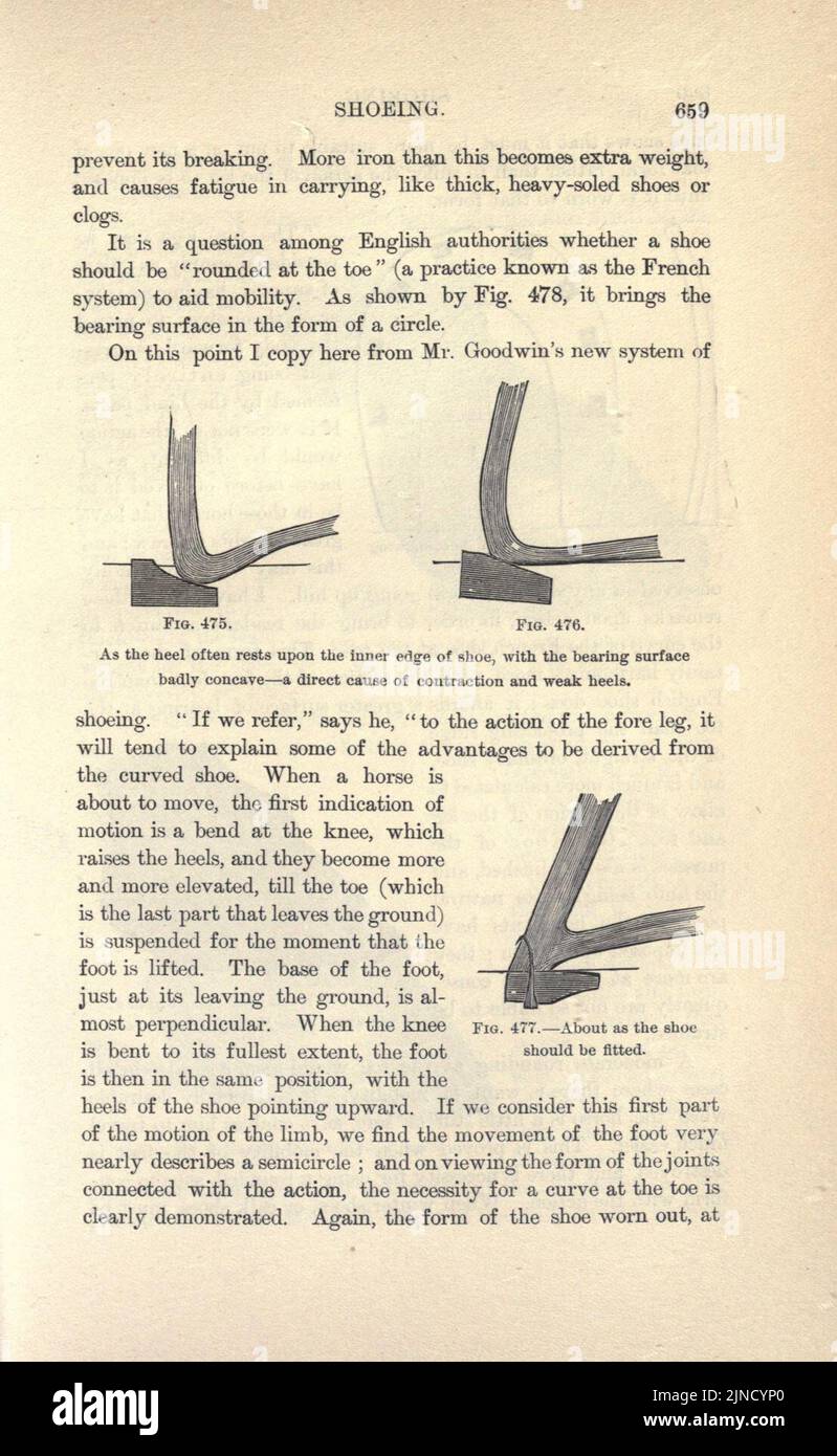 The art of taming and educating the horse (Page 659 Stock Photo - Alamy