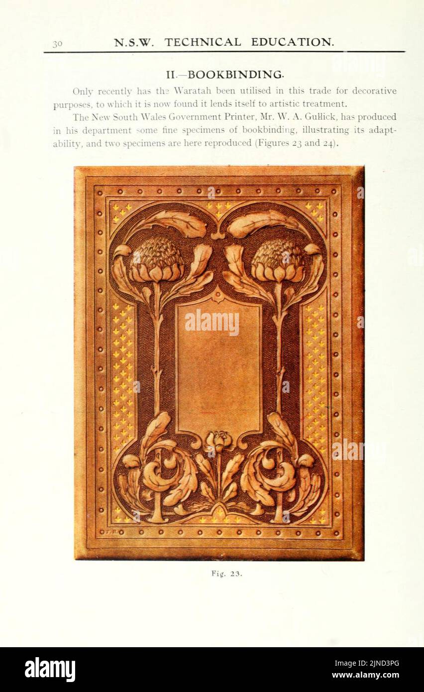 The Australian flora in applied art (Page 30 Stock Photo - Alamy