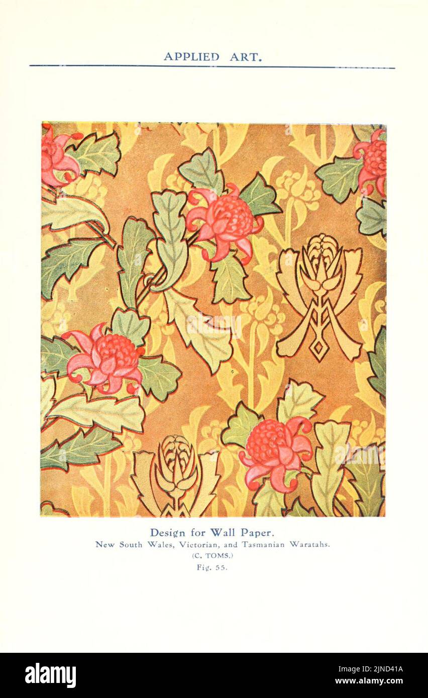 The Australian flora in applied art Stock Photo - Alamy