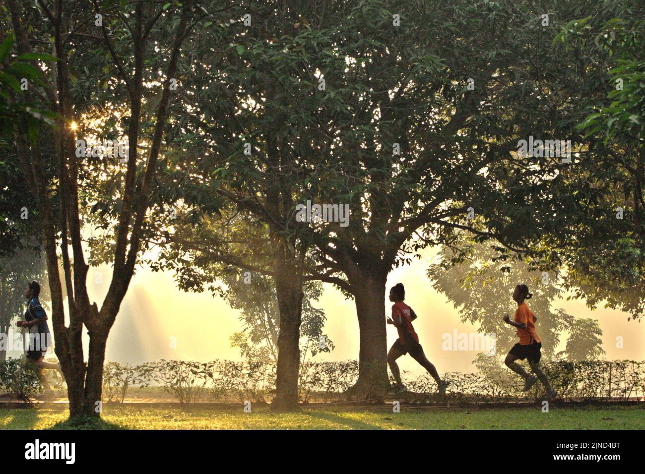 Young women badminton players are running circle a park during a ...