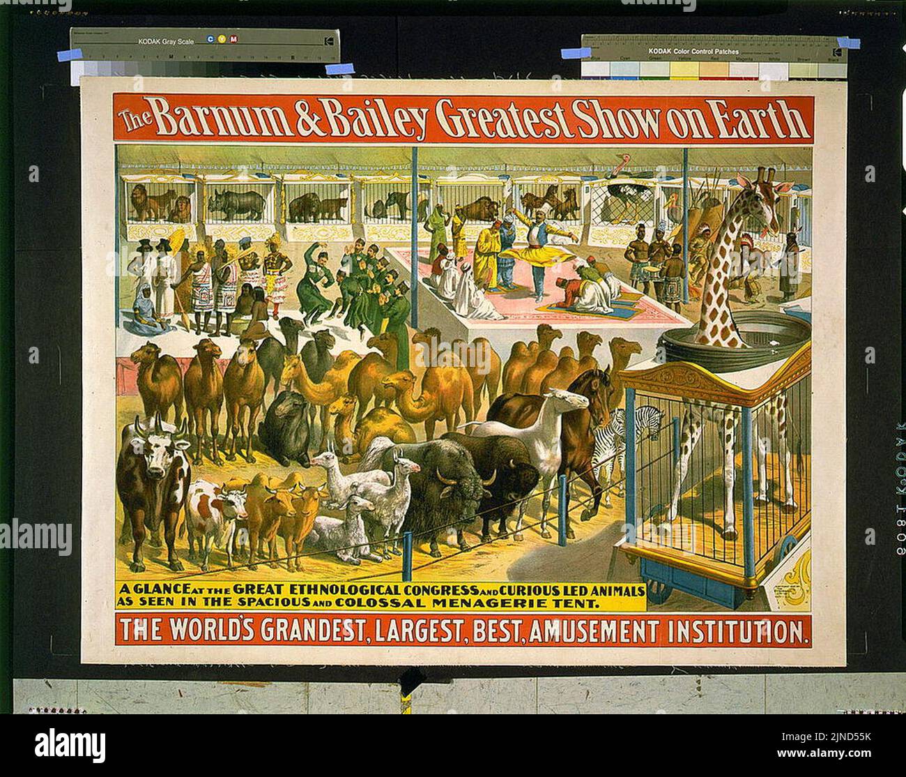 The Barnum and Bailey greatest show on earth-A glance at the great ... The Barnum and Bailey greatest show on earth-A glance at the great ...