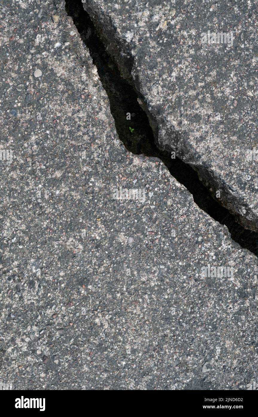 Old aged weathered cracked grey black tarmac texture pattern, large ...