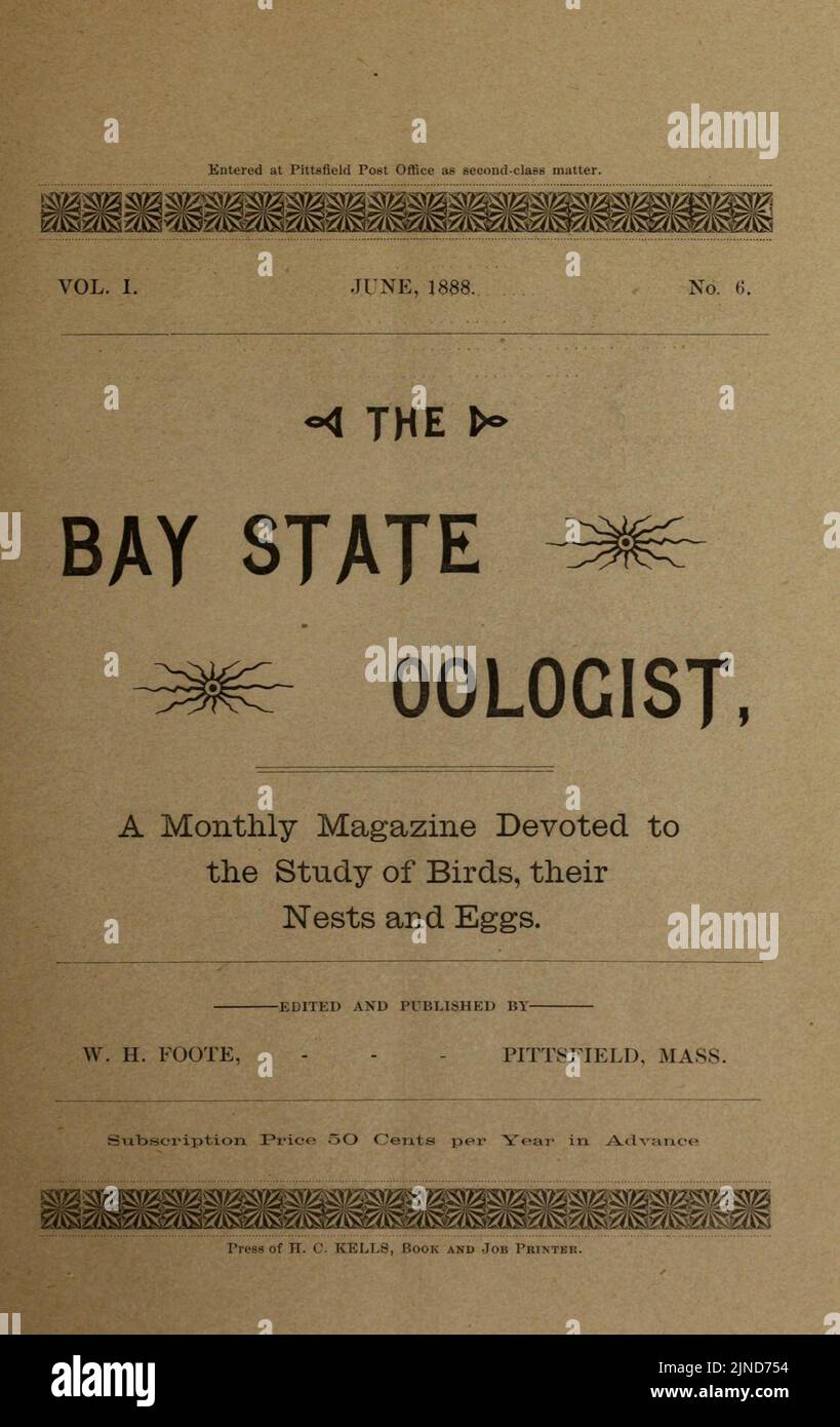 The Bay State oologist Stock Photo - Alamy