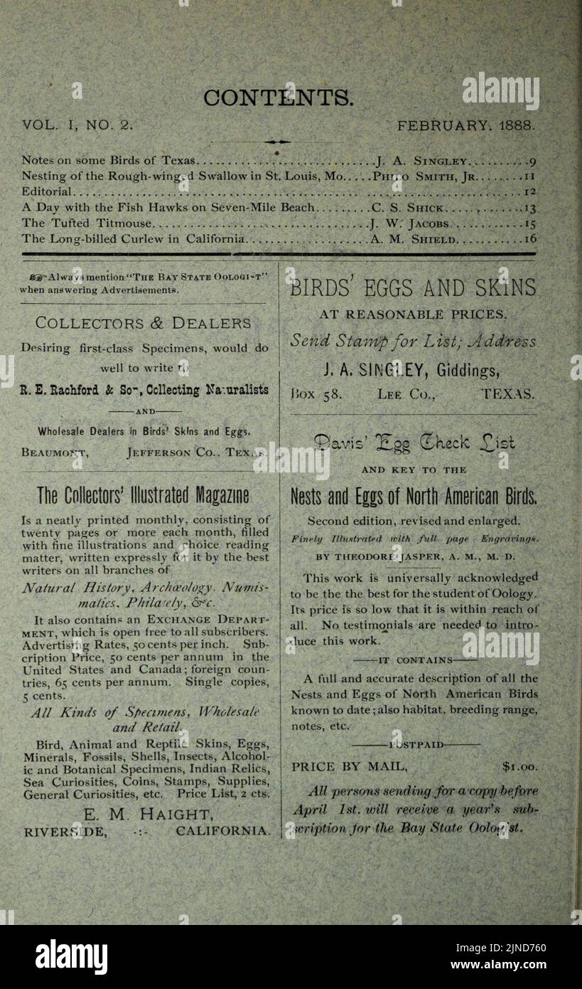 The Bay State oologist Stock Photo - Alamy