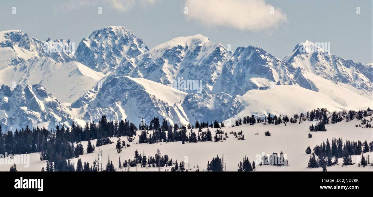 The Beartooth Mountains from Buffalo Plateau Trail Stock Photo - Alamy