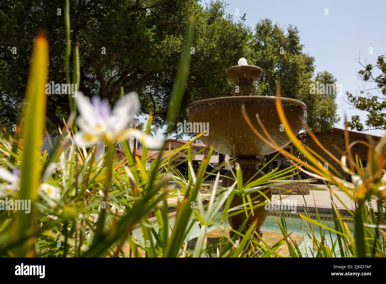 Daytime view of a fountain in the historic block of downtown Montecito ...