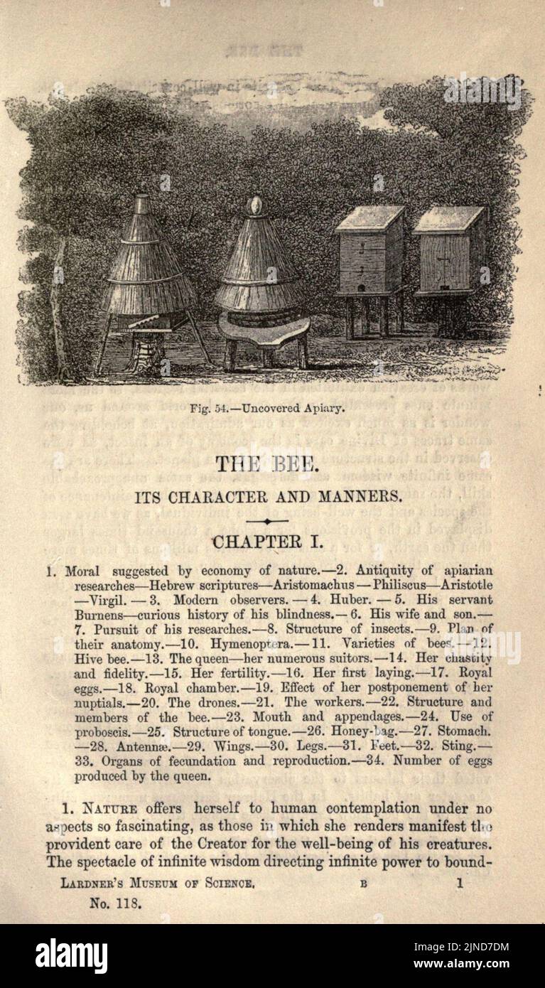 The bee and white ants, their manners and habits (Page 1 Stock Photo ...