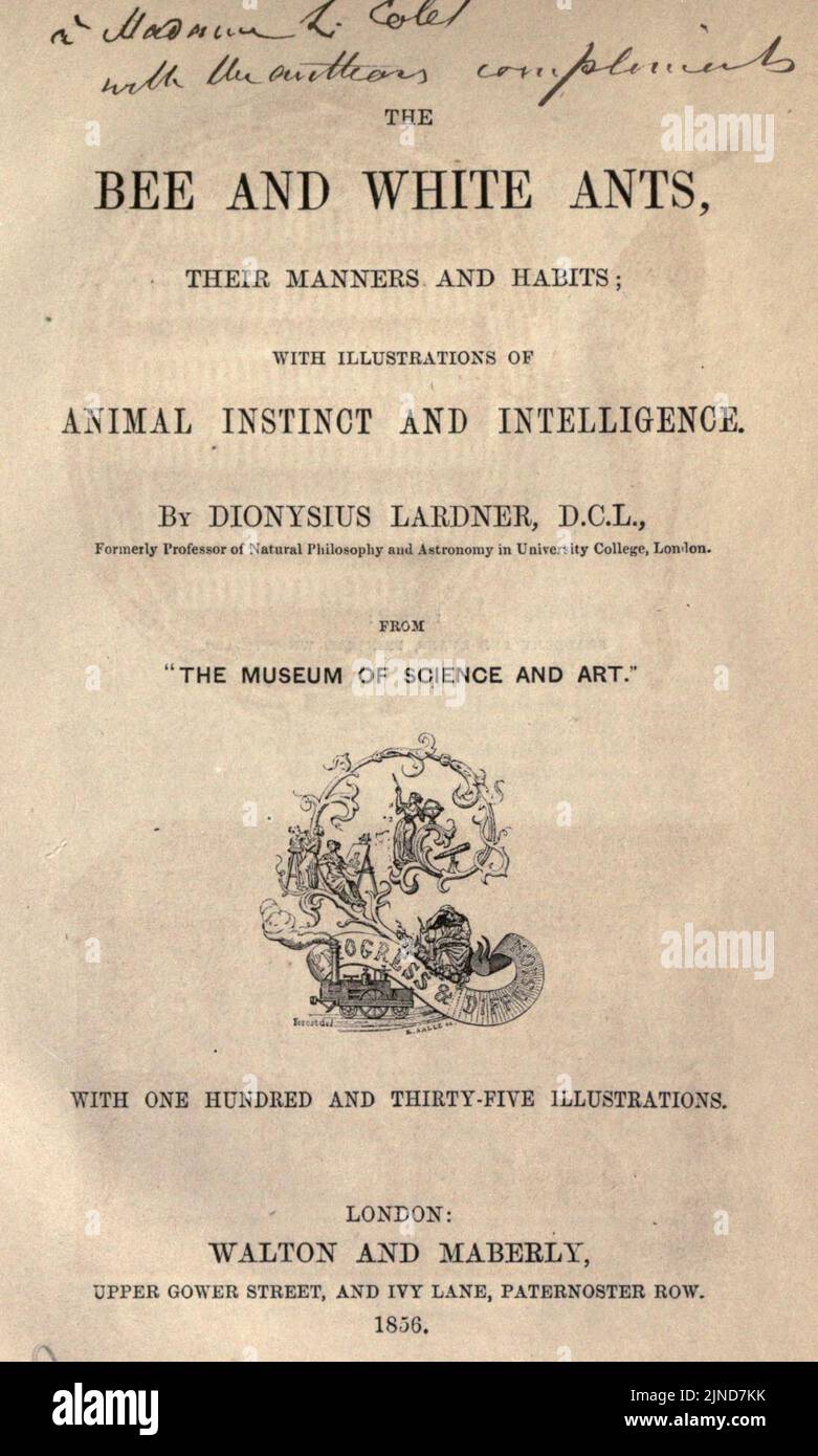 The bee and white ants, their manners and habits Stock Photo - Alamy