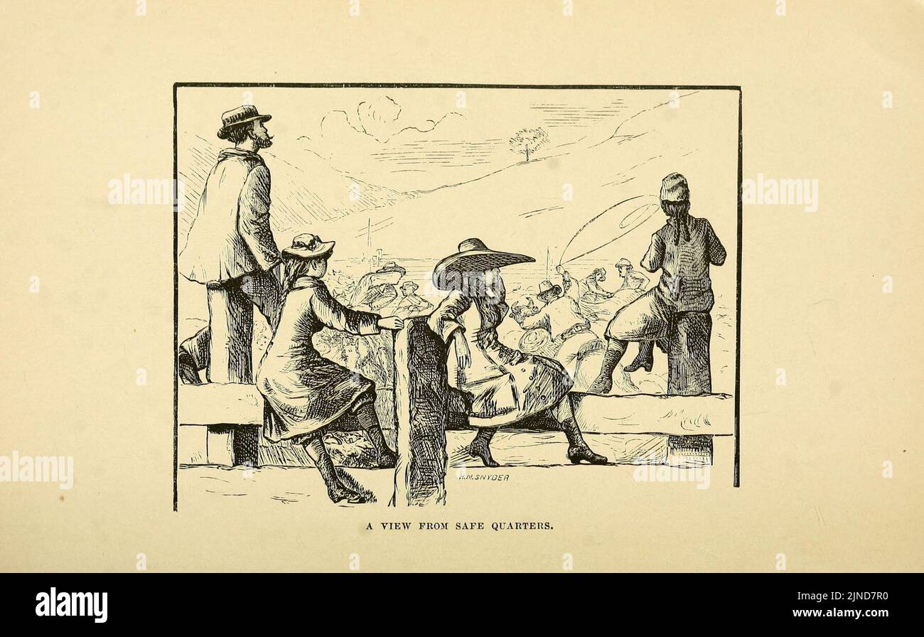 The beef bonanza Stock Photo - Alamy