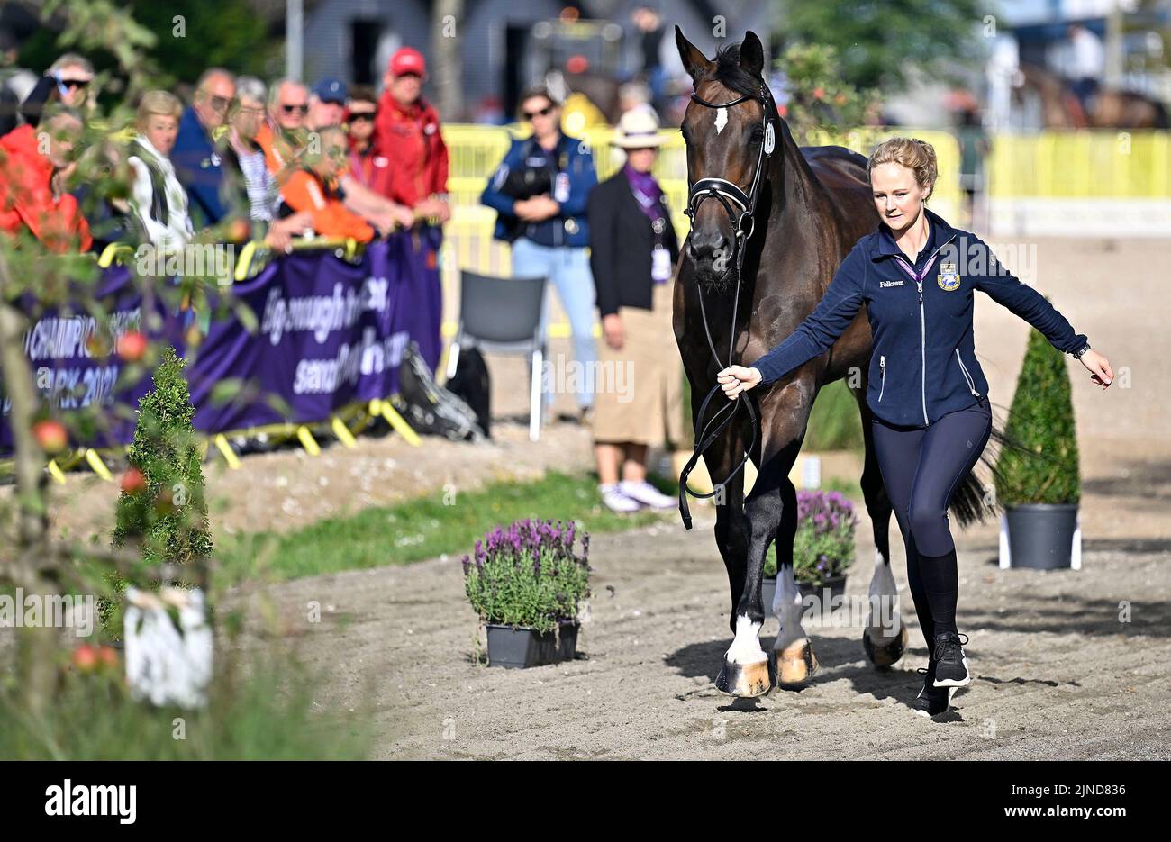 Herning, Denmark. 10th Aug, 2022. World Equestrian Games. Stables ...