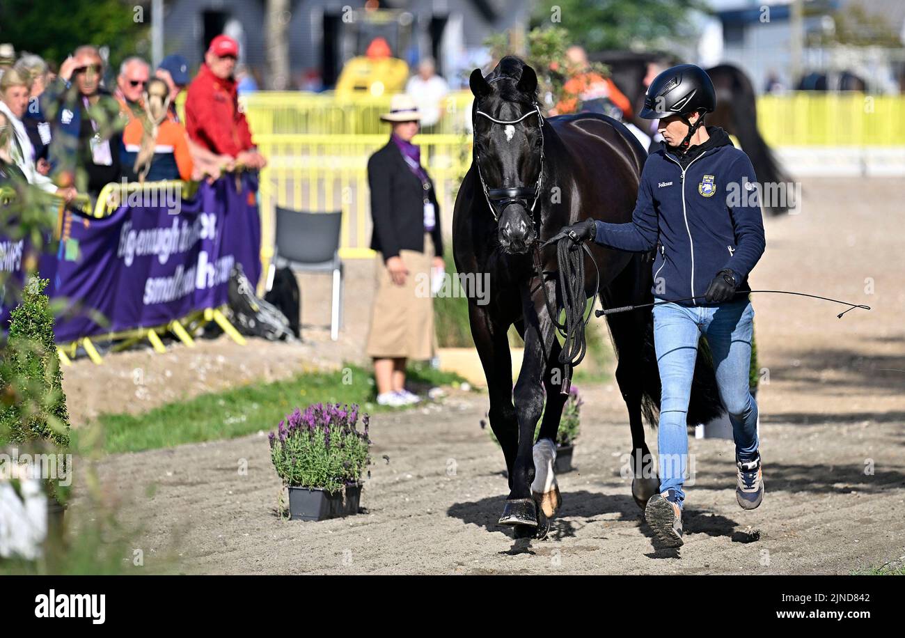 Herning, Denmark. 10th Aug, 2022. World Equestrian Games. Stables ...