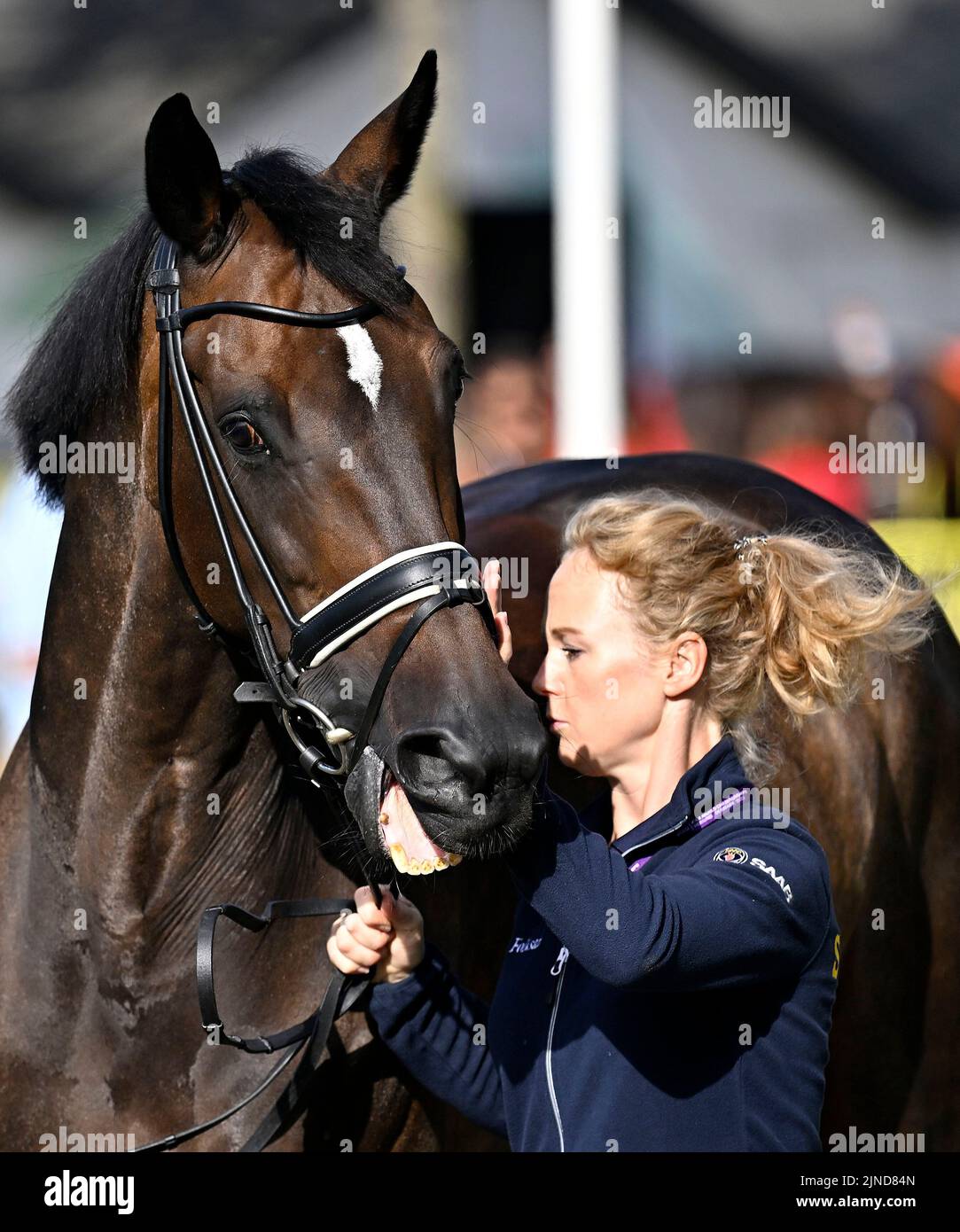Herning, Denmark. 10th Aug, 2022. World Equestrian Games. Stables ...