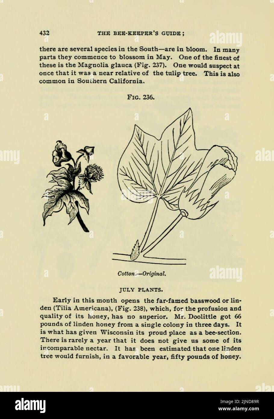 The bee-keeper's guide (Page 432 Stock Photo - Alamy