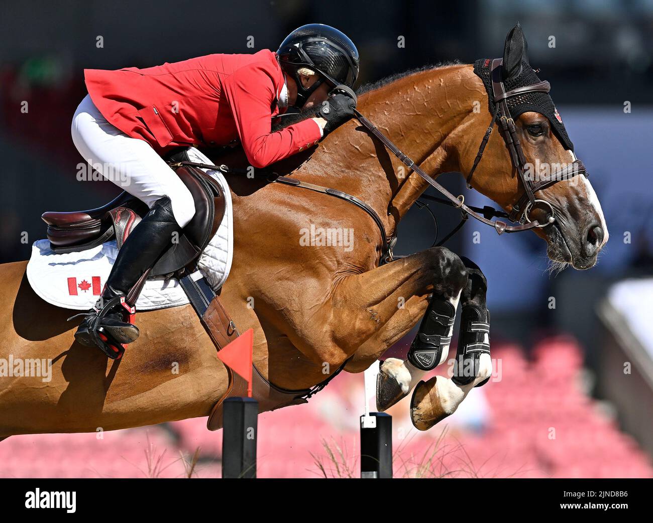Herning, Denmark. 10th Aug, 2022. World Equestrian Games. Stables. Beth ...