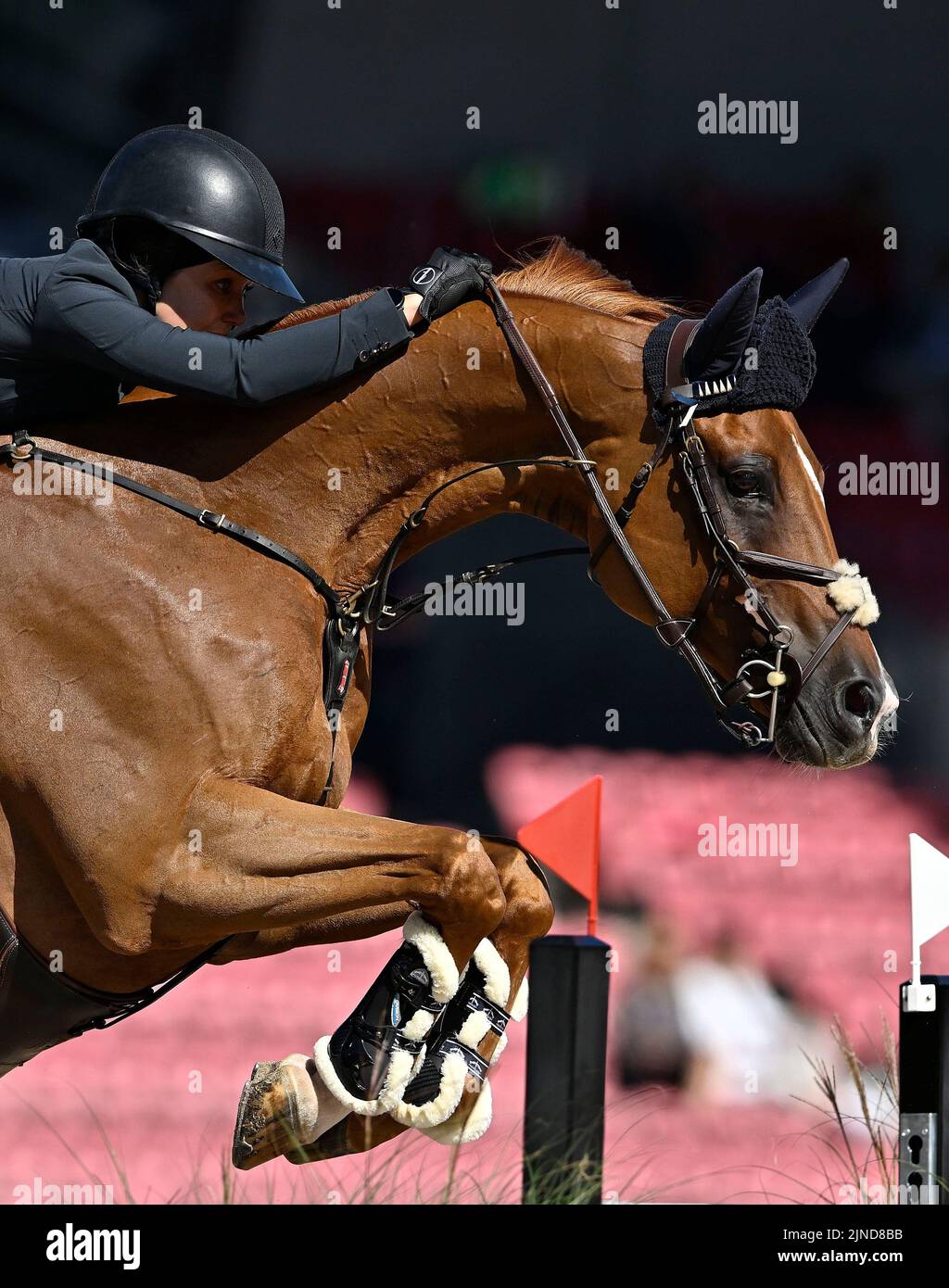 Victoria stables hi-res stock photography and images - Alamy