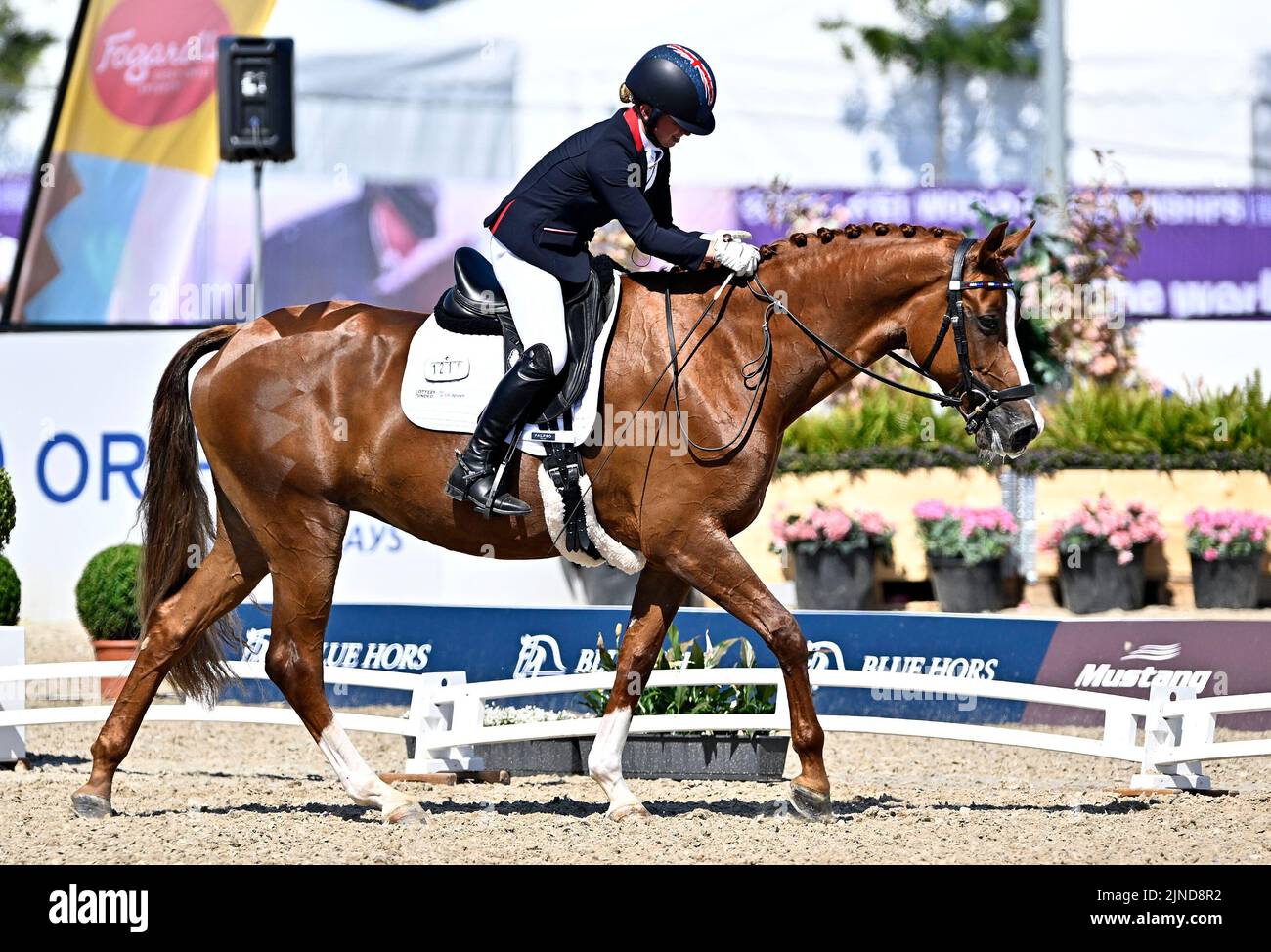 Herning, Denmark. 10th Aug, 2022. World Equestrian Games. Stables ...