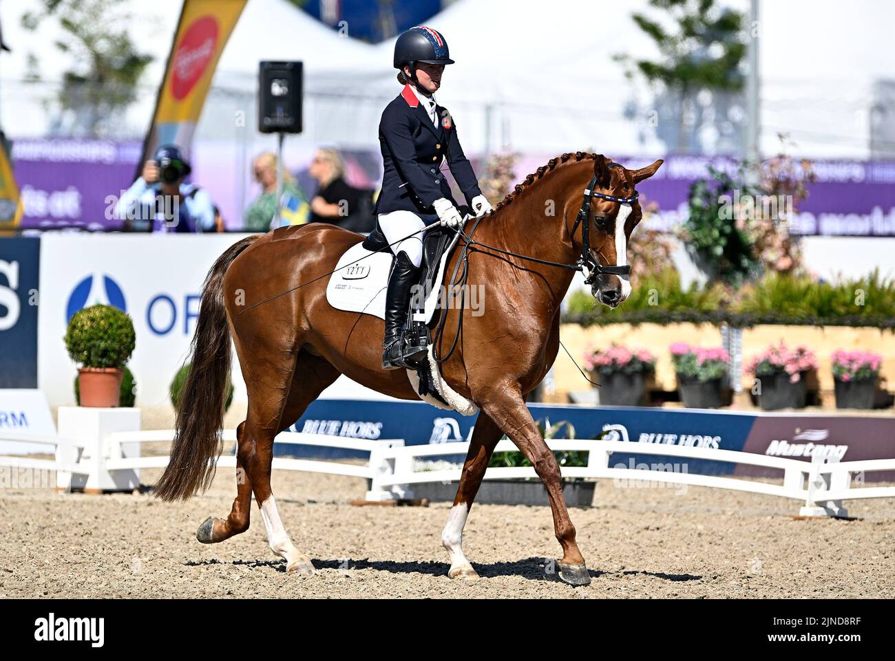 Herning, Denmark. 10th Aug, 2022. World Equestrian Games. Stables ...