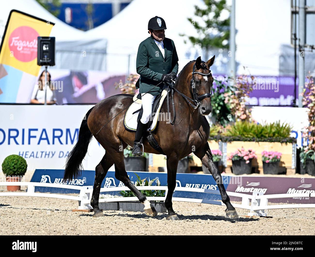 Herning, Denmark. 10th Aug, 2022. World Equestrian Games. Stables. Flamarion Pereira Da Silva ...