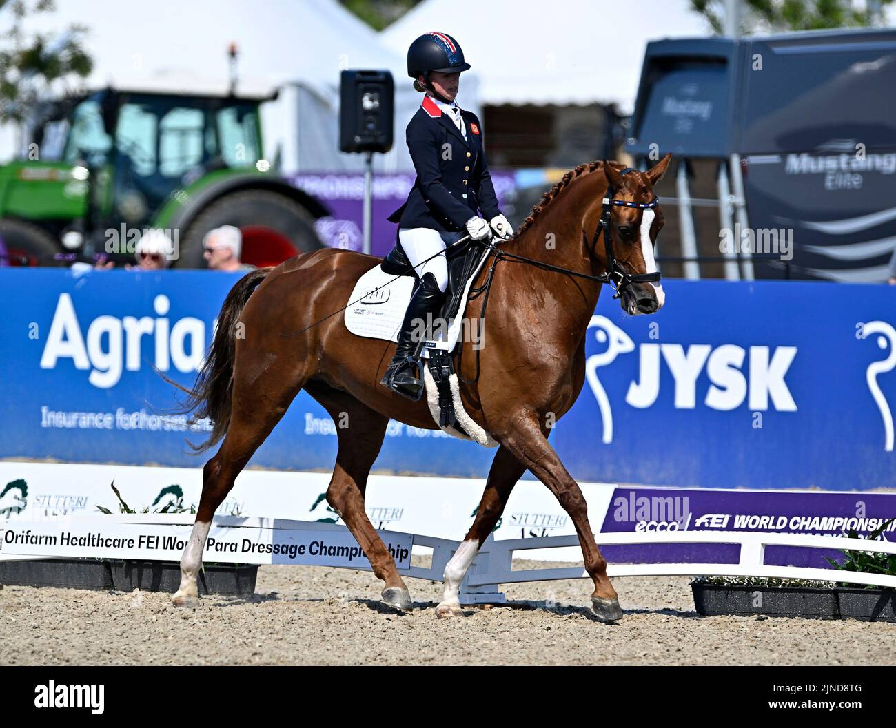 Georgia wilson dressage hi-res stock photography and images - Alamy