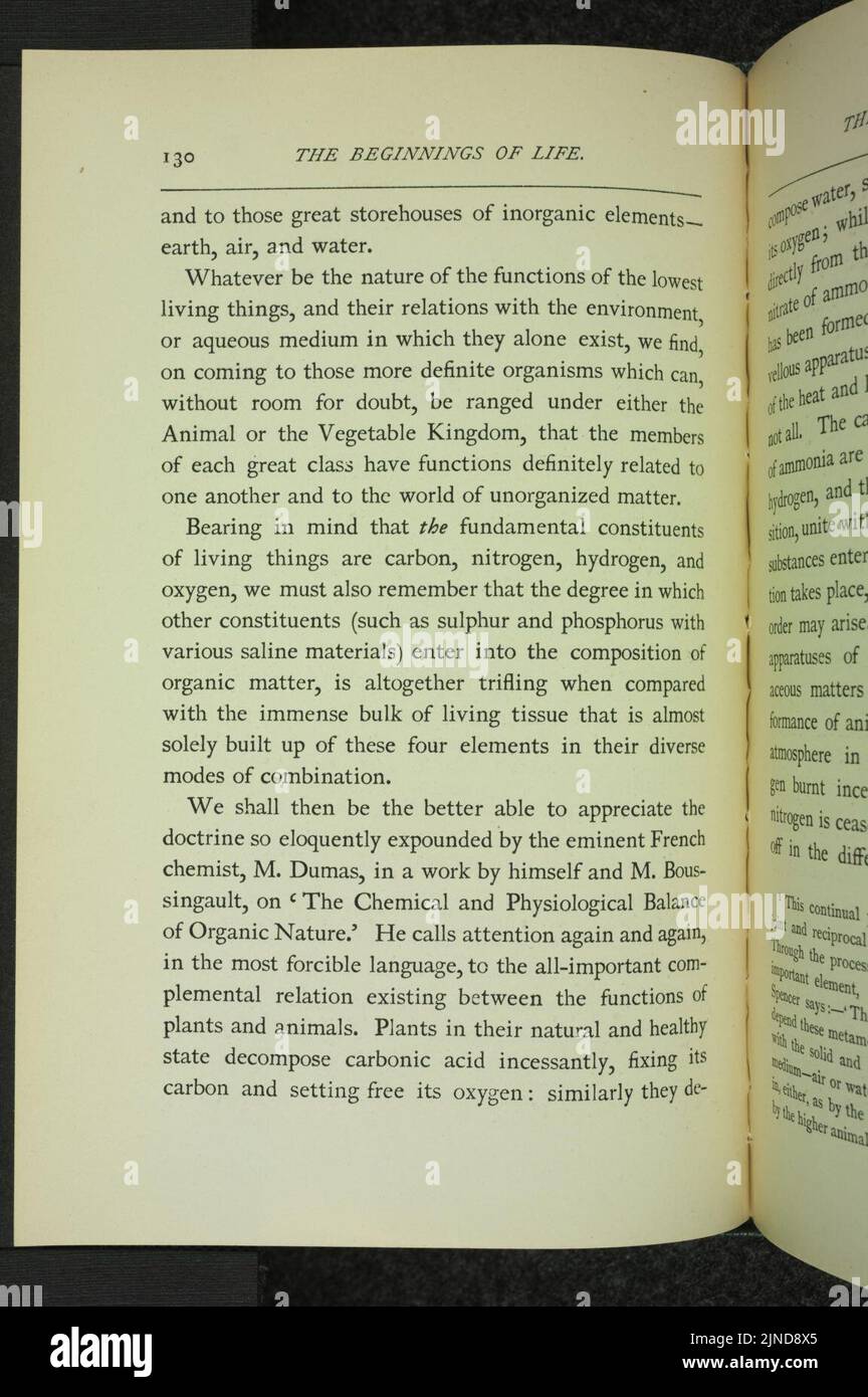 The beginnings of life (Page 130 Stock Photo - Alamy