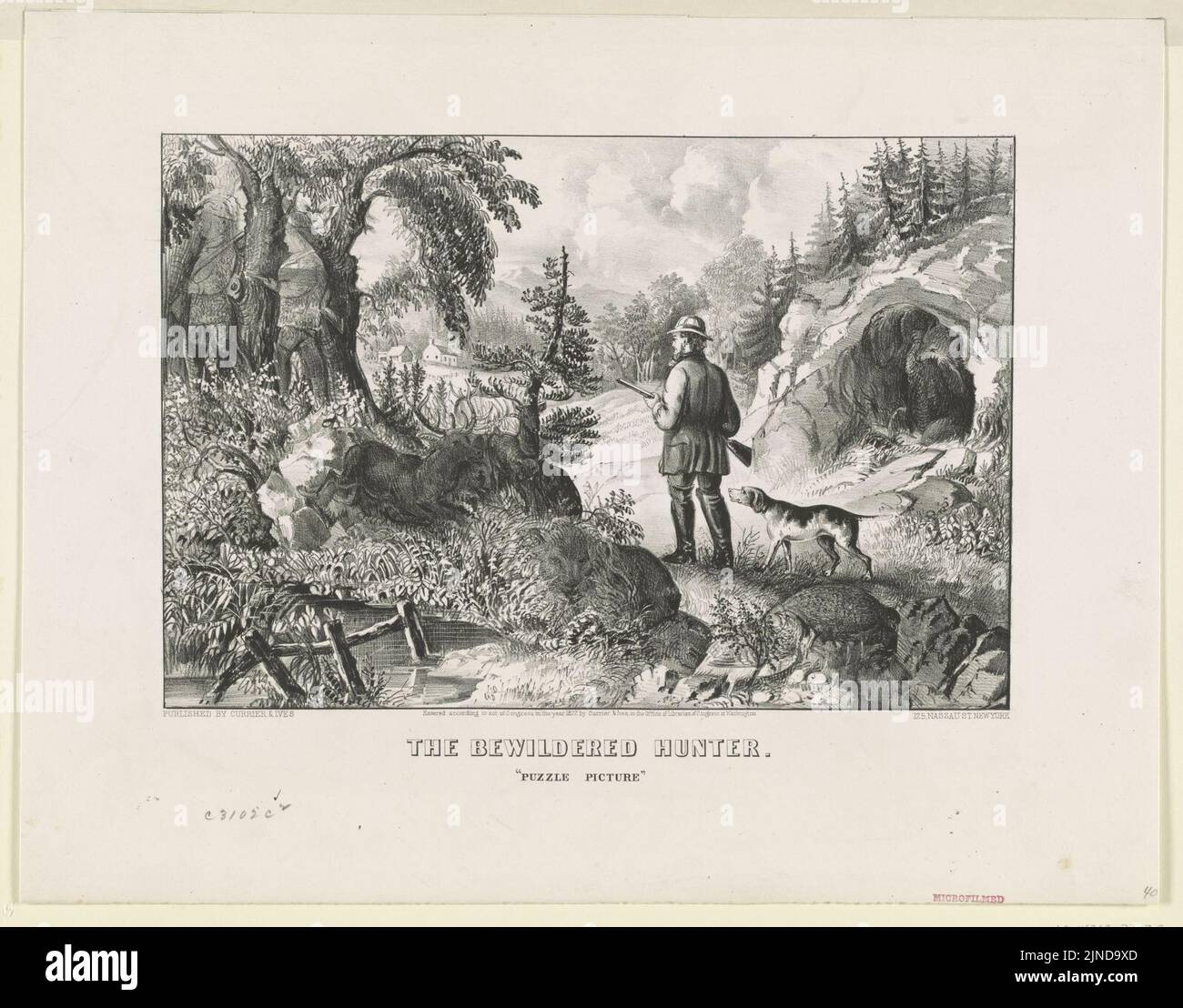 The bewildered hunter- ''Puzzle picture'' Stock Photo - Alamy