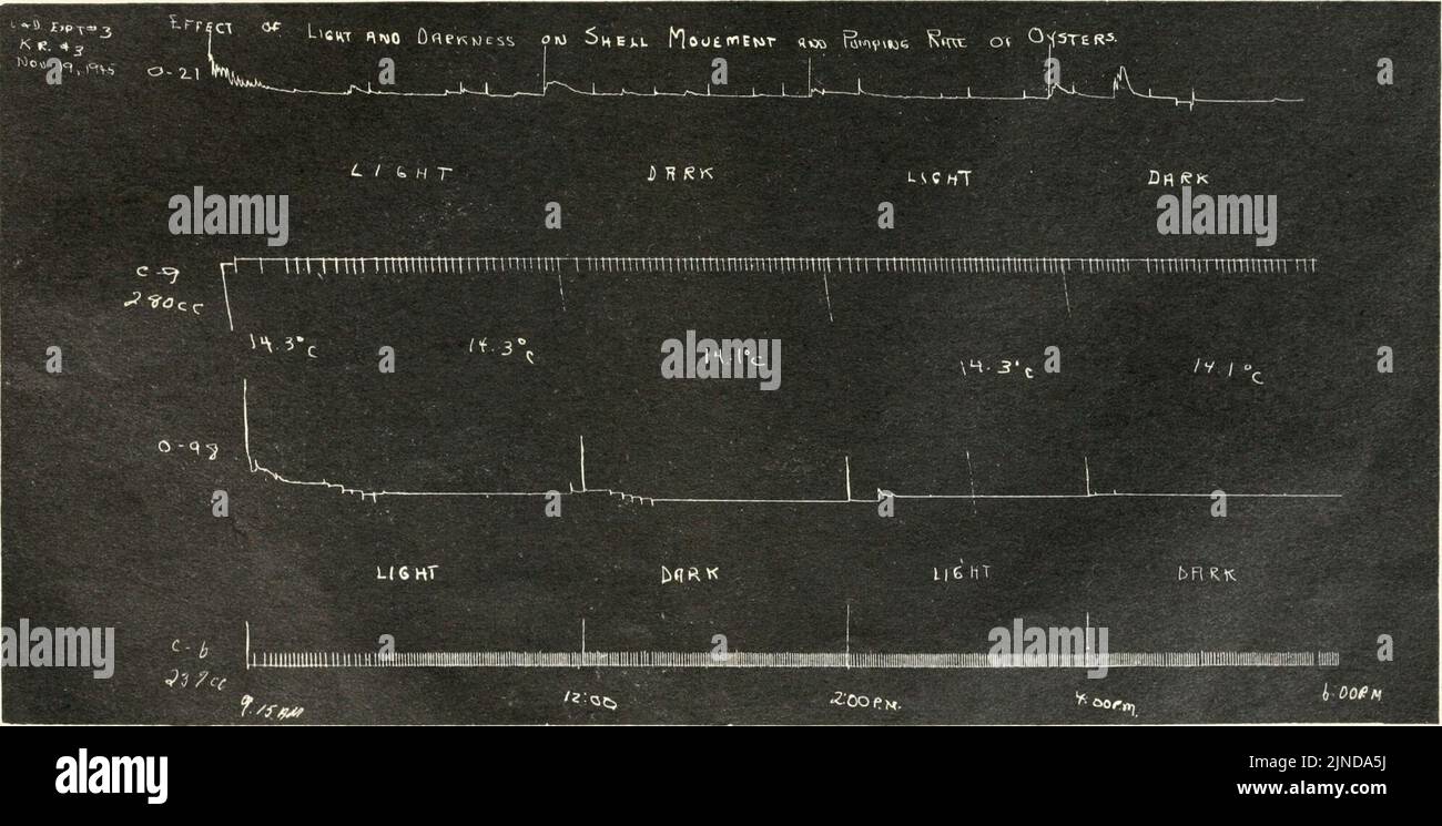 The Biological bulletin (20186852038 Stock Photo - Alamy