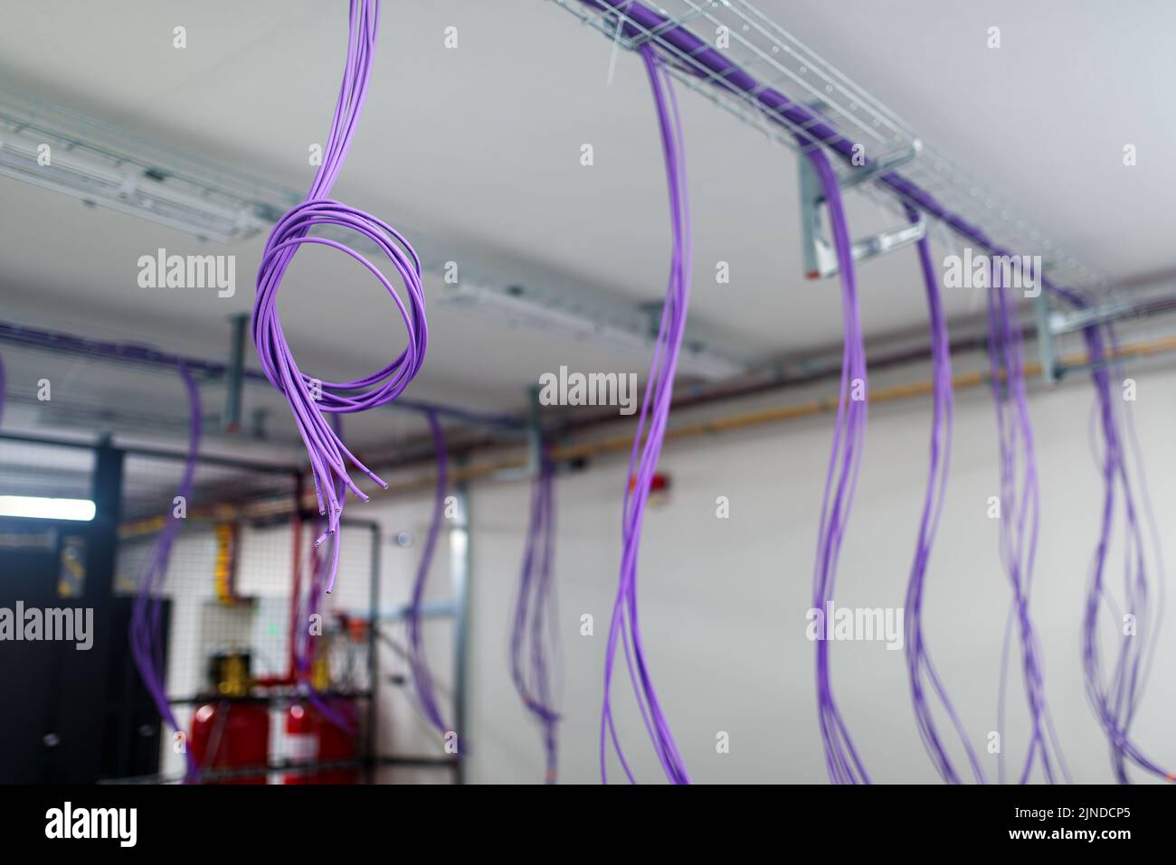 Server room under construction - standardized twisted pair cables ...