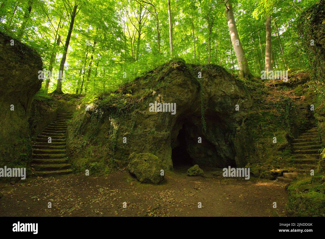 the forest of Thuringia near Bad Liebenstein in Germany Stock Photo - Alamy