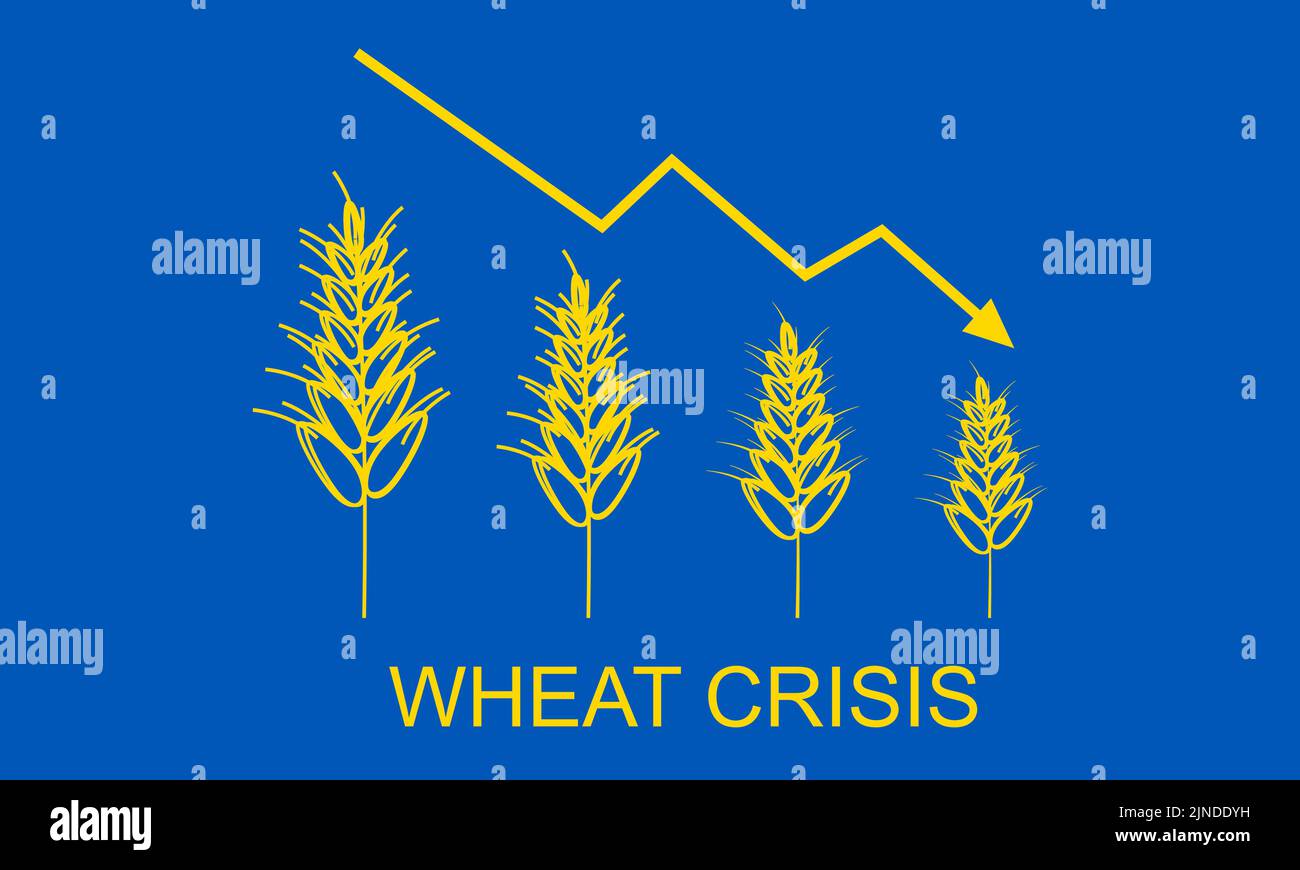 Food crisis. Ukrainian grain. Bread shortage. Russian-Ukrainian ...