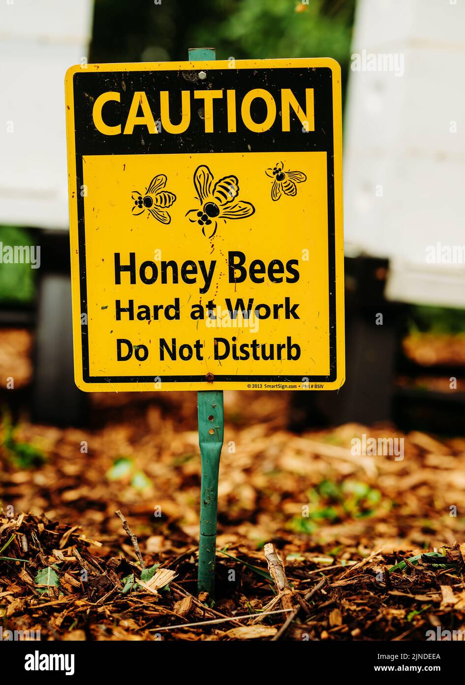 A vertical black and yellow Caution sign informing about presence of honey bees with blur ...