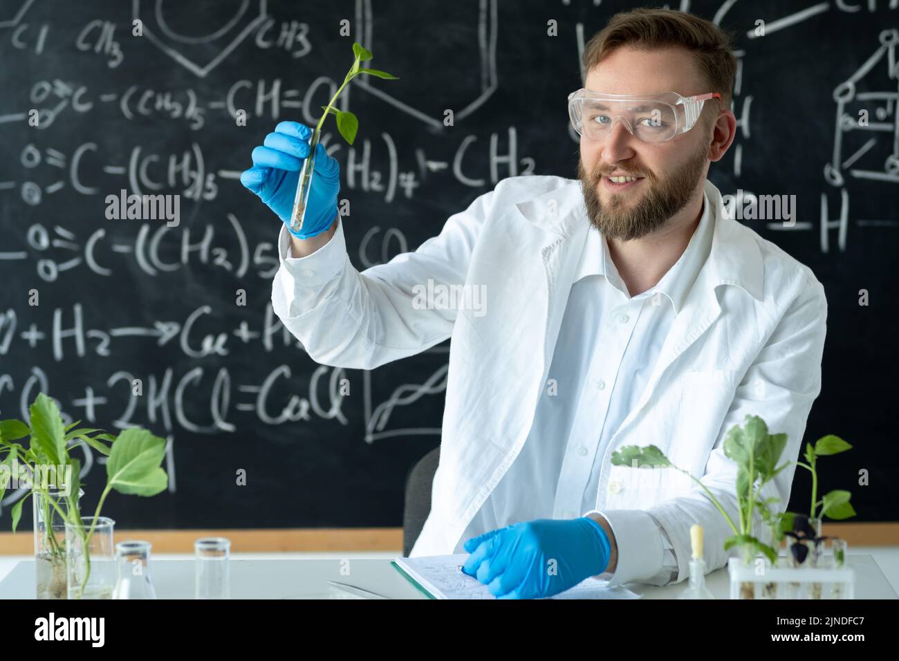 Plant in a test tube. In a modern laboratory research scientist ...