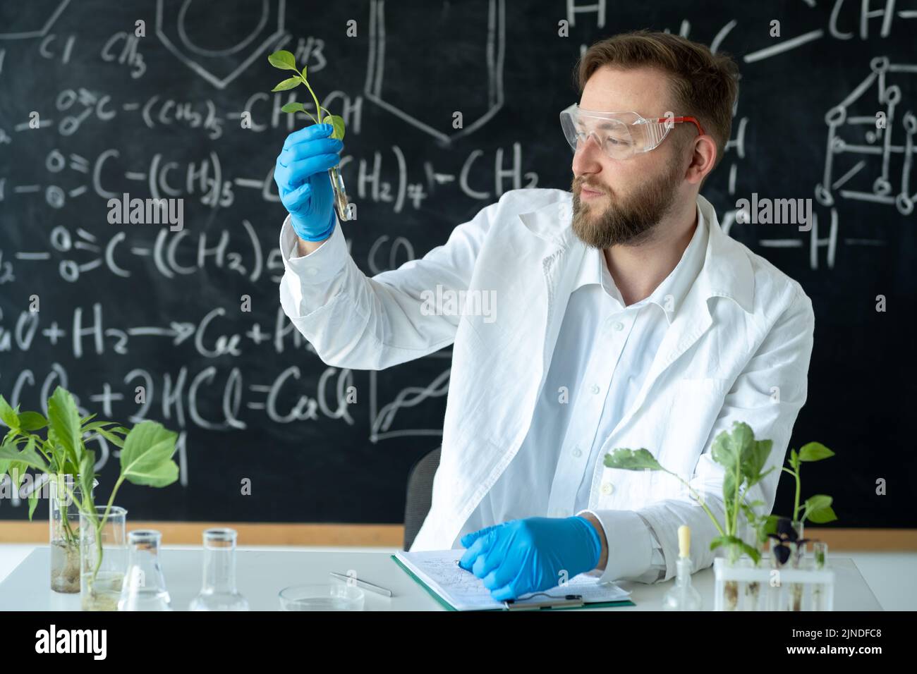 Plant in a test tube. In a modern laboratory research scientist ...