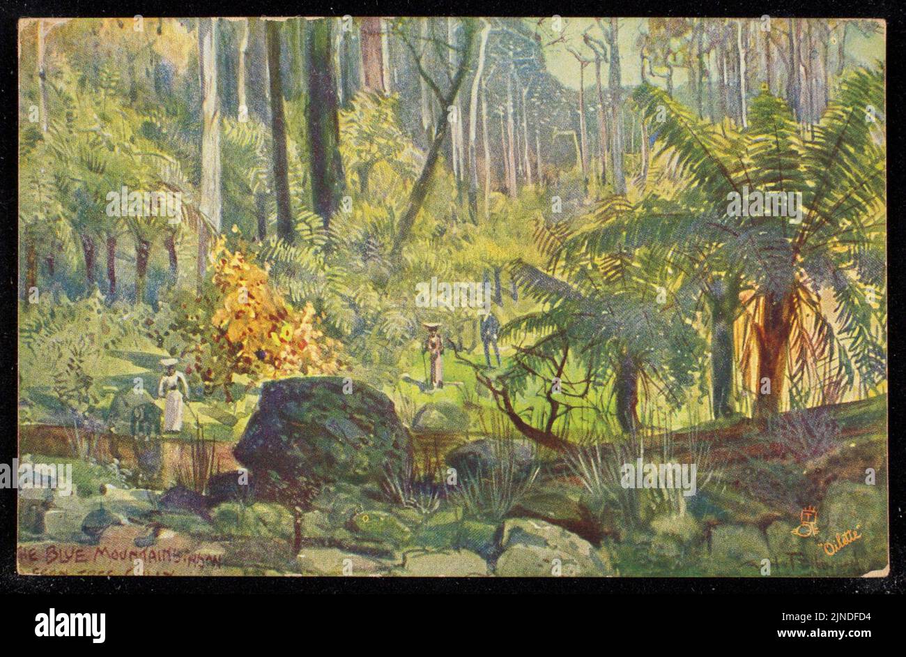 The Blue Mountains N.S.W. (unclear)Fern Tree Gully( unclear Stock Photo ...