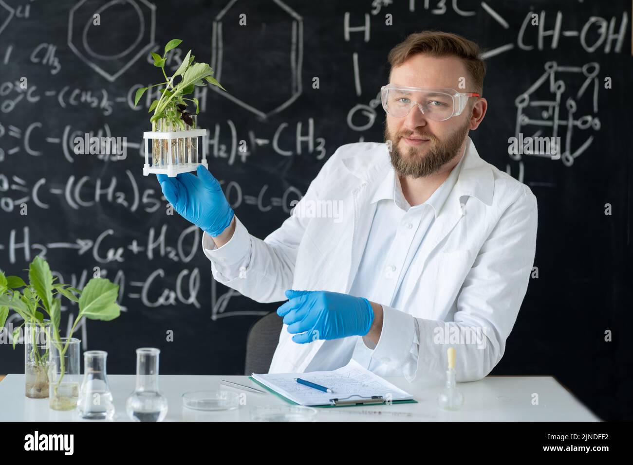 Portrait of male scientist working with green plant samples in the lab ...